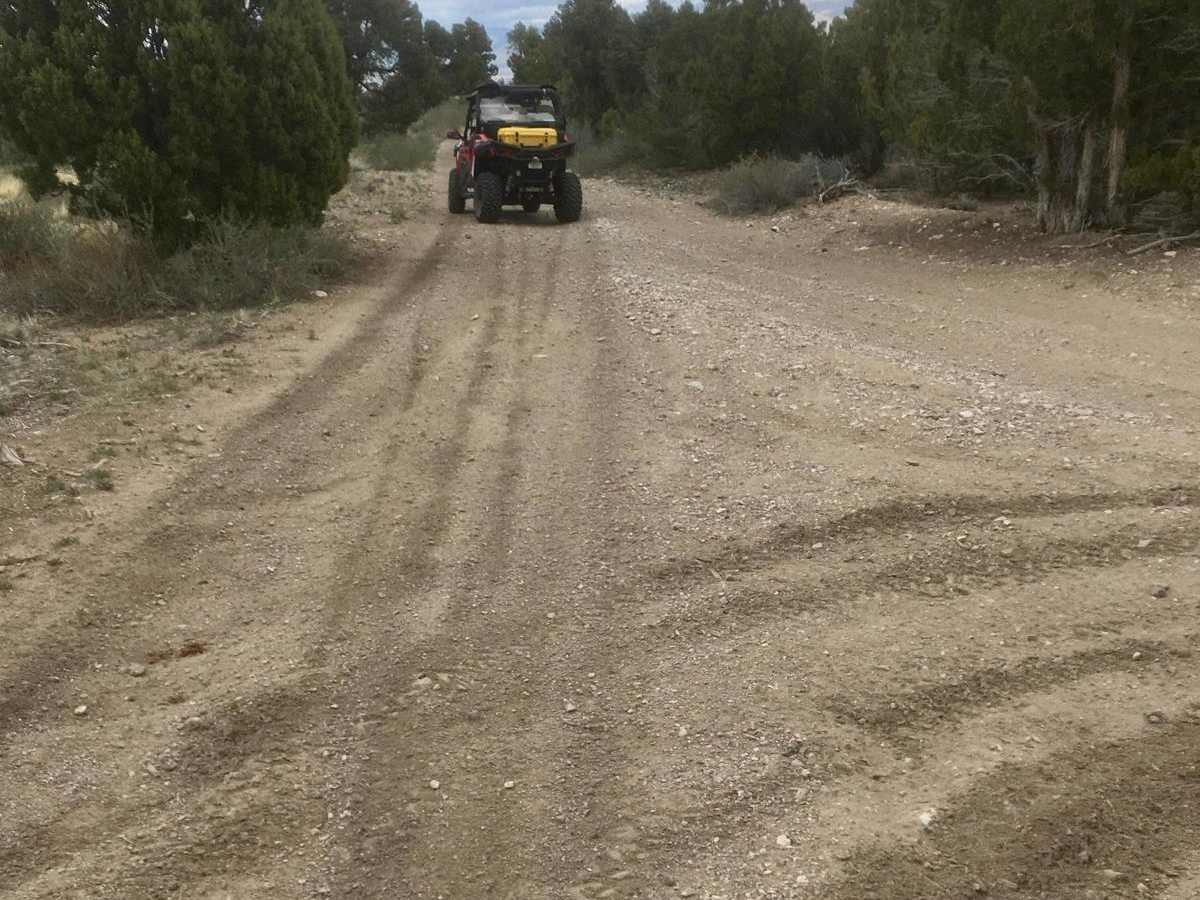 Ice Plant Road | Off-Road Trail Maps, Difficulty, Trail Status | onX ...
