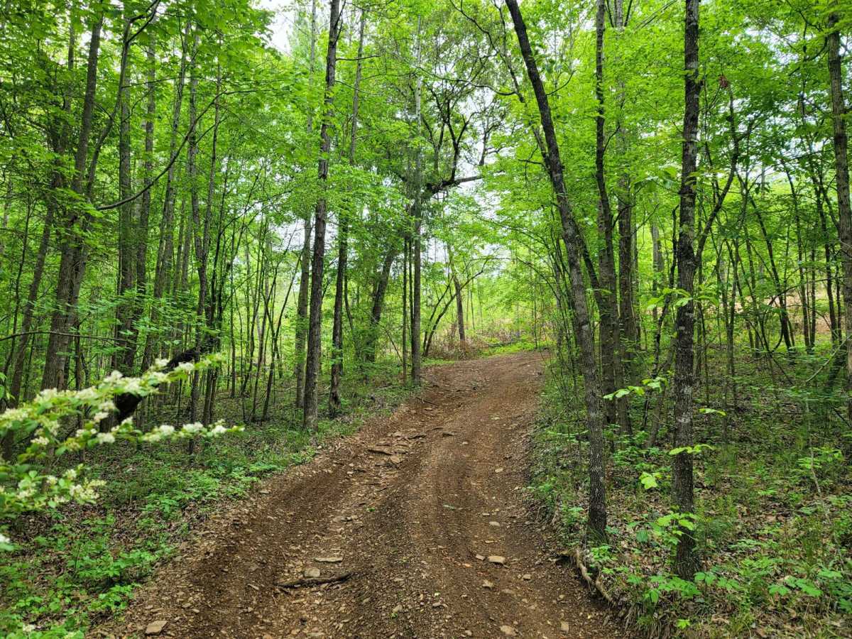 GBU Bypass | Off-Road Trail Maps, Difficulty, Trail Status | onX Offroad