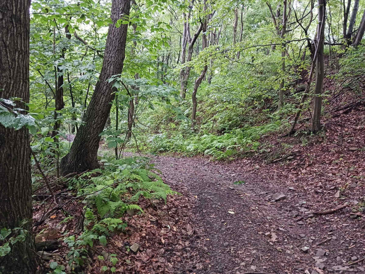 Trail 4G - Rock Run Recreation Area | Off-Road Trail Maps, Difficulty ...