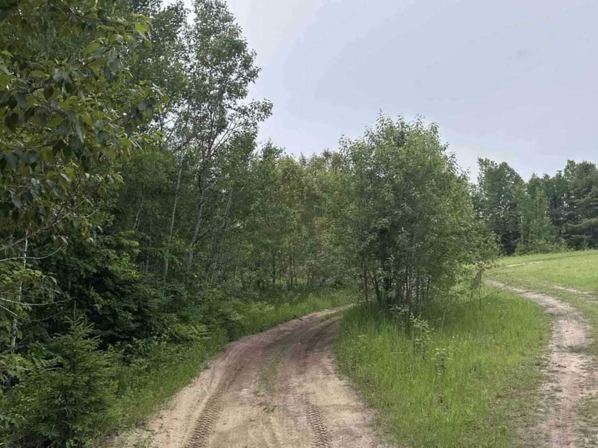 Trout Lake Spur | Off-Road Trail Maps, Difficulty, Trail Status | onX ...