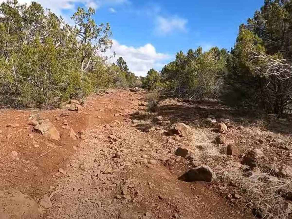 Snap Point BLM 1680 | Off-Road Trail Maps, Difficulty, Trail Status ...