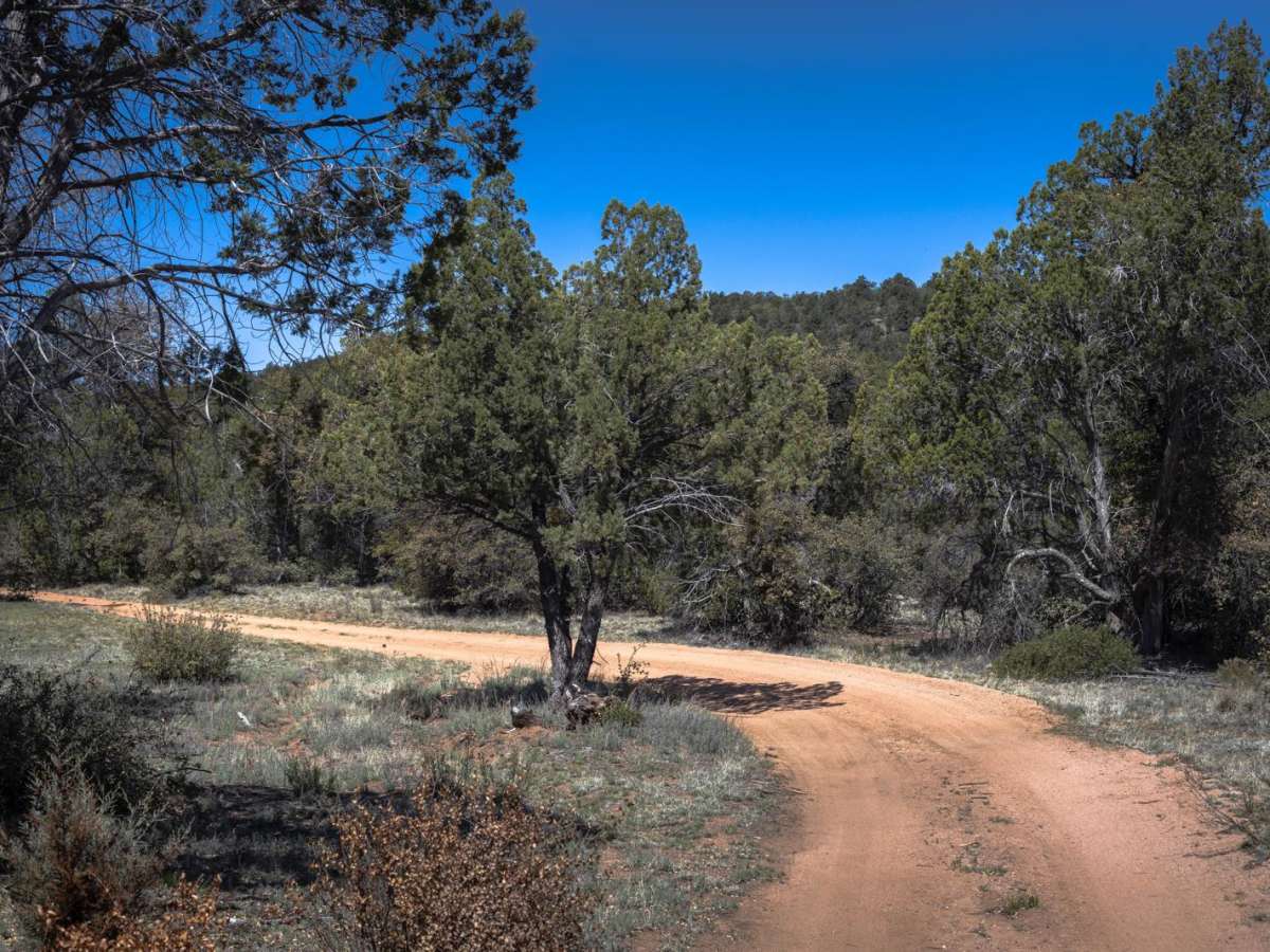 Graver Wash | Off-Road Trail Maps, Difficulty, Trail Status | onX Offroad