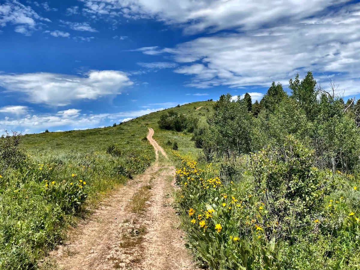 Old Man Ridge | Off-Road Trail Maps, Difficulty, Trail Status | onX Offroad