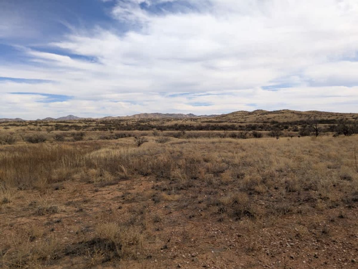 State Tank Road | Off-Road Trail Maps, Difficulty, Trail Status | onX ...