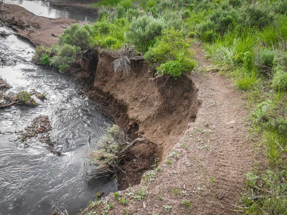Middle Fork Shoshone Creek | Off-Road Trail Maps, Difficulty, Trail ...