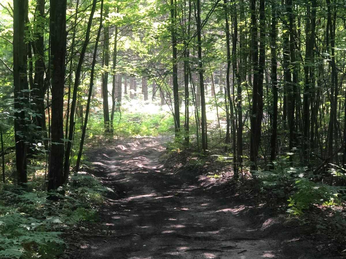 Betsie Valley Spur | Off-Road Trail Maps, Difficulty, Trail Status ...