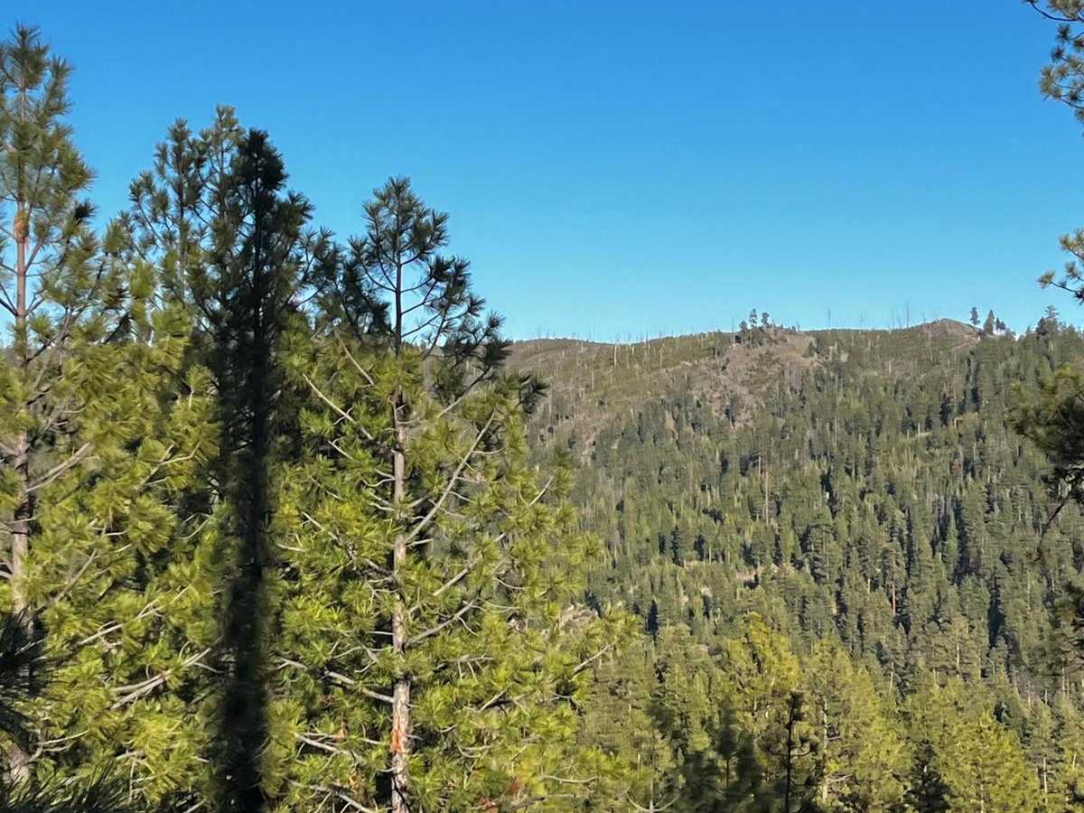 Lower McKay Creek Road to West Fork Mill Creek Road | Off-Road Trail ...