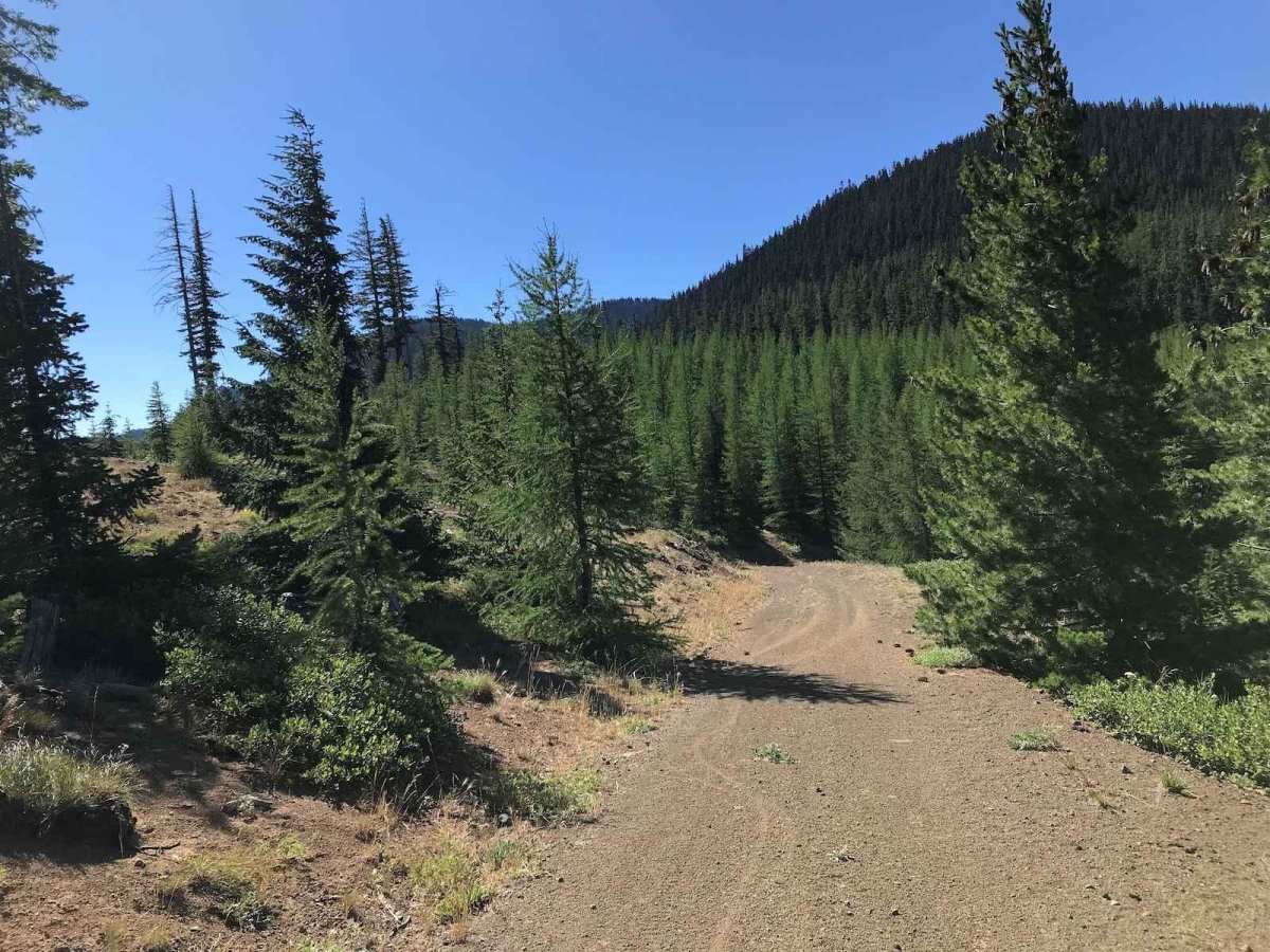 Taneum - NF 3300 | Off-Road Trail Maps, Difficulty, Trail Status | onX ...
