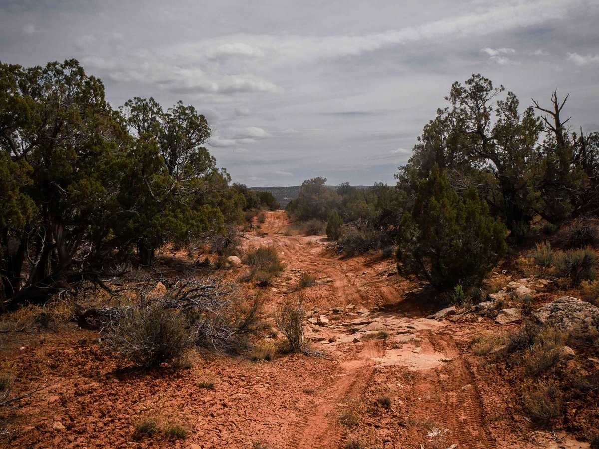 Wild Horse | Off-Road Trail Maps, Difficulty, Trail Status | onX Offroad
