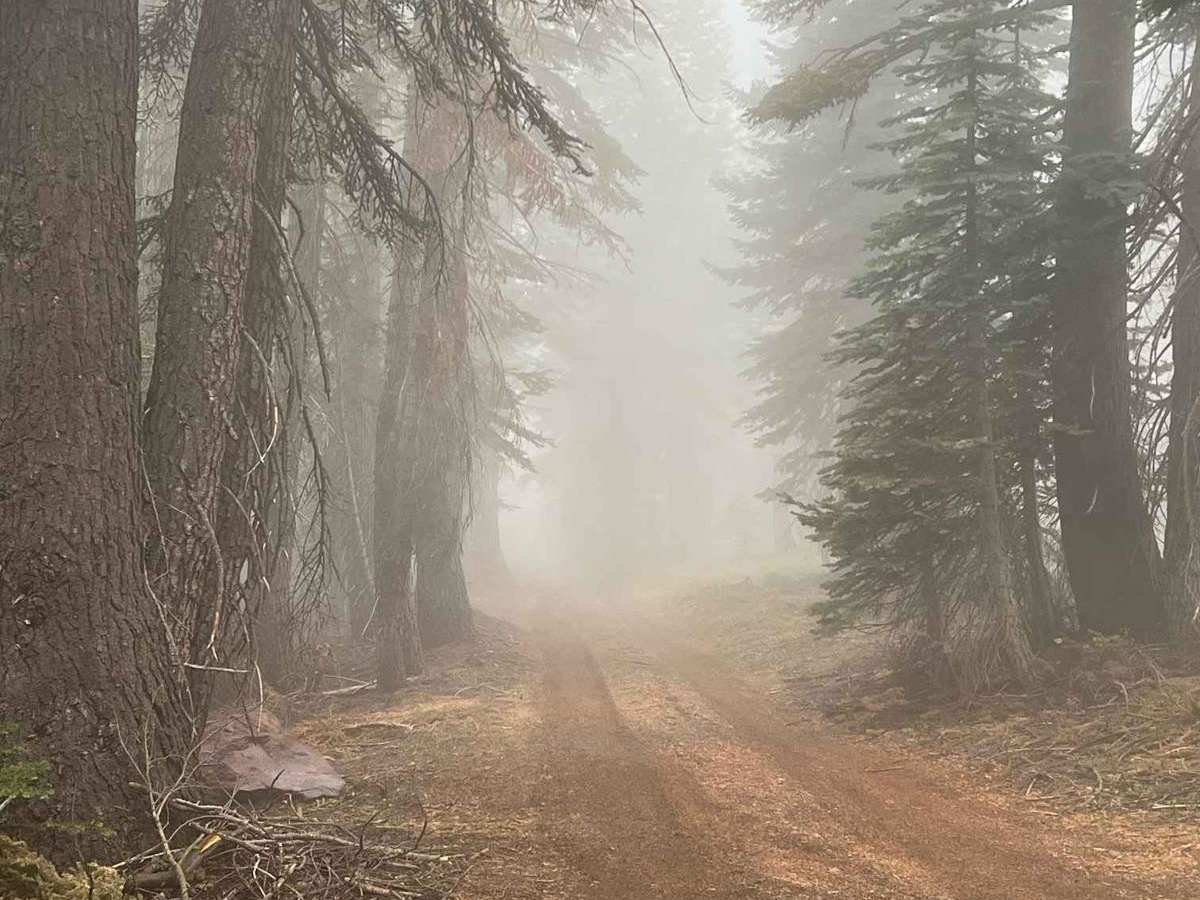 Gooseberry | Off-Road Trail Maps, Difficulty, Trail Status | onX Offroad