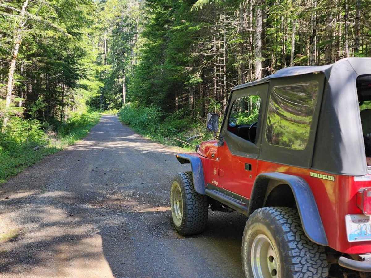 Nettleton/Forest Road 2441 | Off-Road Trail Maps, Difficulty, Trail ...