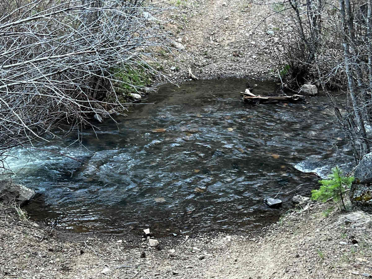 Lower McKay Creek Road to West Fork Mill Creek Road | Off-Road Trail ...