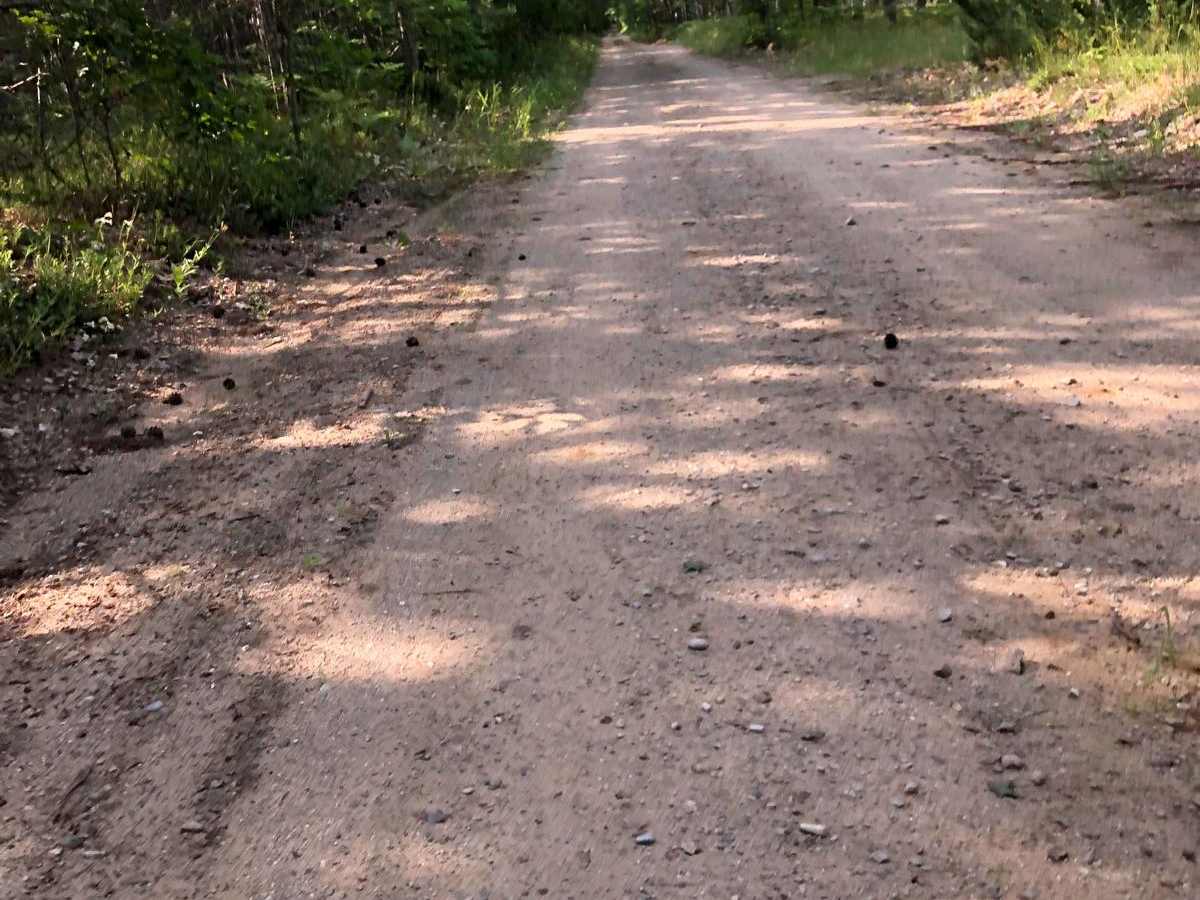 Lookout Road | Off-Road Trail Maps, Difficulty, Trail Status | onX Offroad
