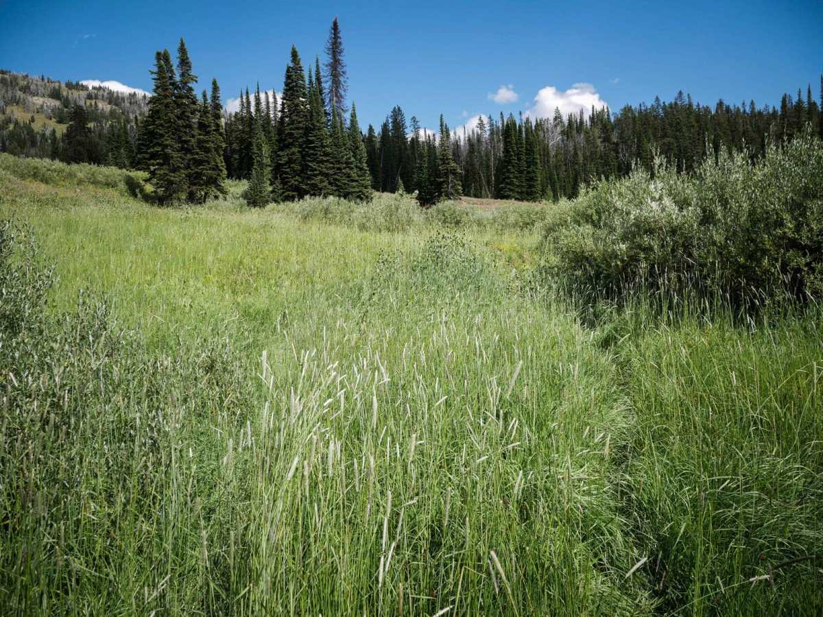 Cabin Creek Cabin | Off-Road Trail Maps, Difficulty, Trail Status | onX ...