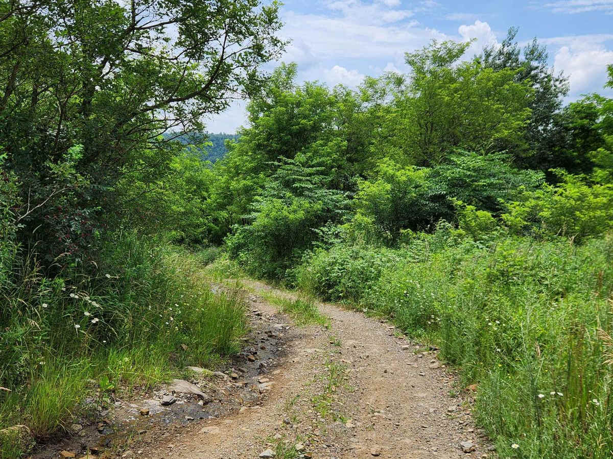 Trail 6J - Rock Run Recreation Area | Off-Road Trail Maps, Difficulty ...