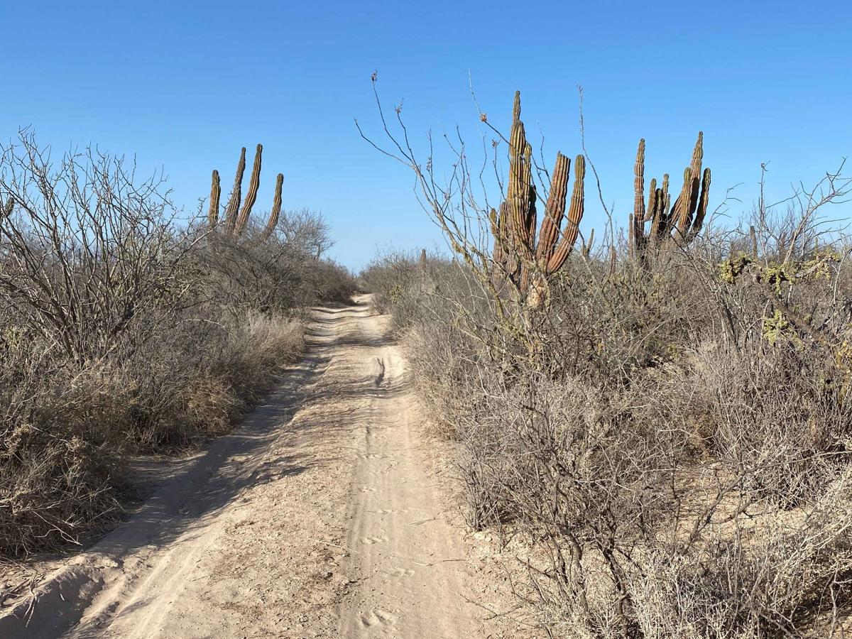 Off Middle Road | Off-Road Trail Maps, Difficulty, Trail Status | onX ...
