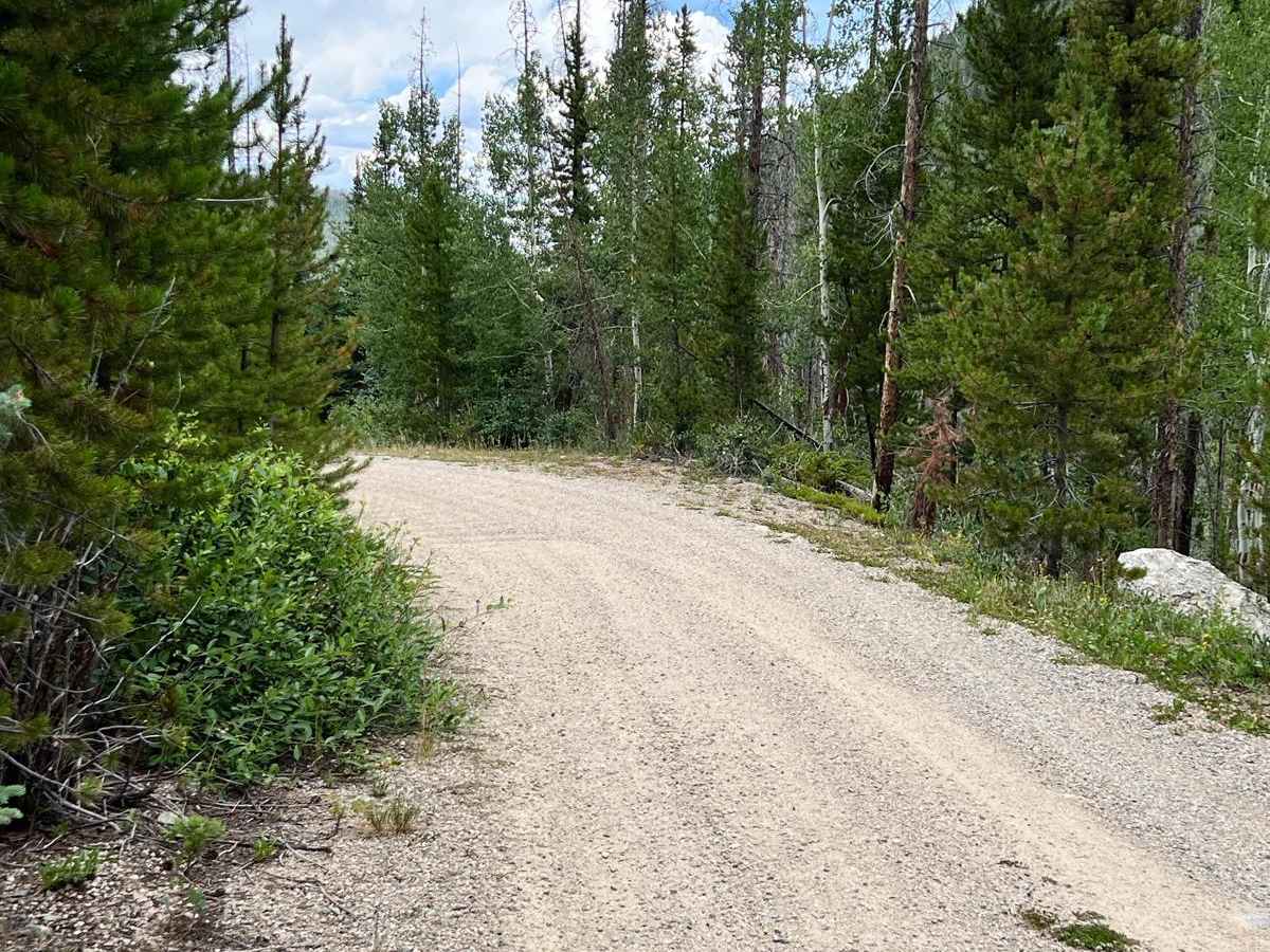 South Fork Road - FS 142.1 | Off-Road Trail Maps, Difficulty, Trail ...