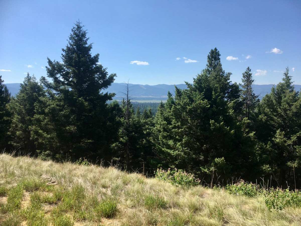 Park Creek Road - FS 607 | Off-Road Trail Maps, Difficulty, Trail ...