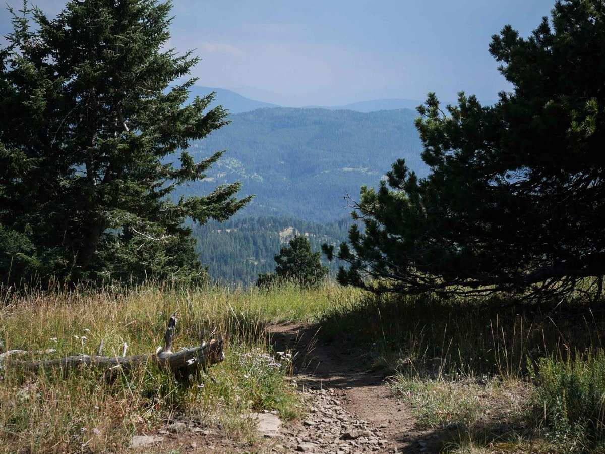 Bishop Park Connector | Off-Road Trail Maps, Difficulty, Trail Status ...