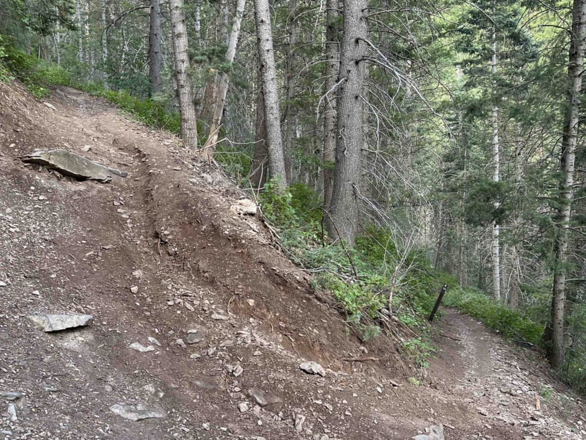 Bear Canyon (2179) | Off-Road Trail Maps, Difficulty, Trail Status ...