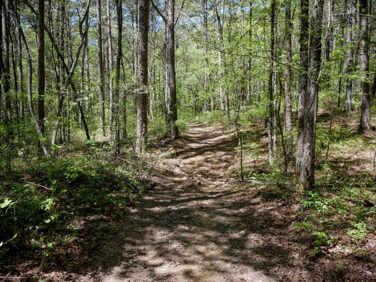 Brock 25 | Off-Road Trail Maps, Difficulty, Trail Status | onX Offroad