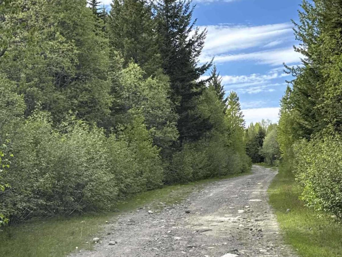 Tadpole Lake FST | Off-Road Trail Maps, Difficulty, Trail Status | onX ...