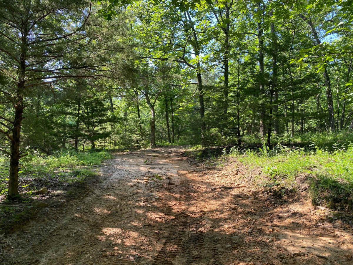 Red and Yellow Tree Bypass | Off-Road Trail Maps, Difficulty, Trail ...