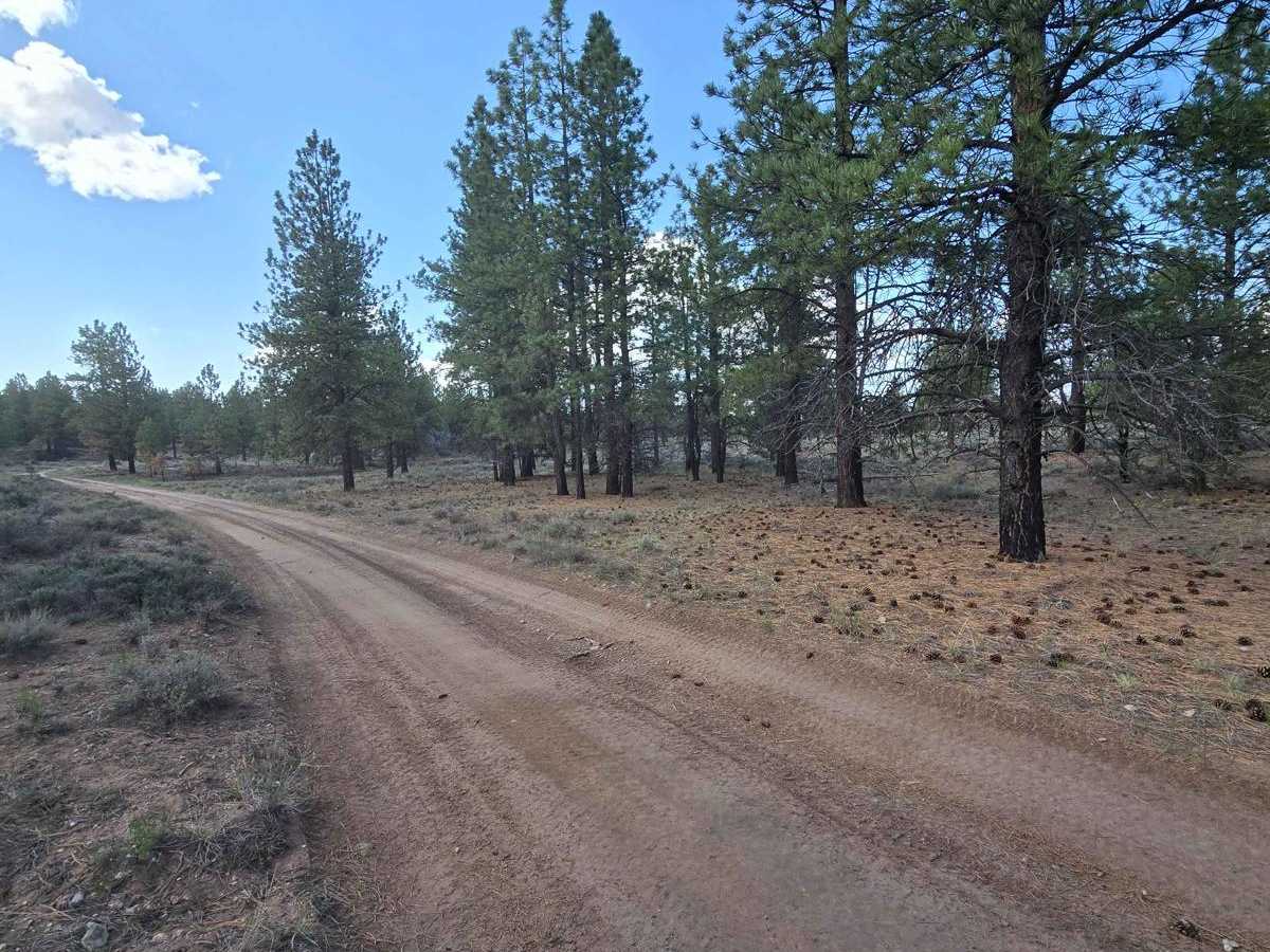 Tom's Best - Flake Swale Trail (FSR 1162) | Off-Road Trail Maps ...
