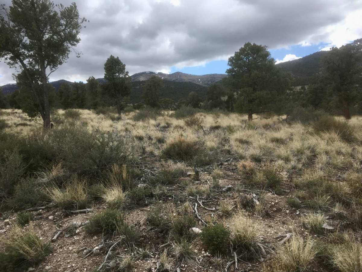 Ice Plant Road | Off-Road Trail Maps, Difficulty, Trail Status | onX ...