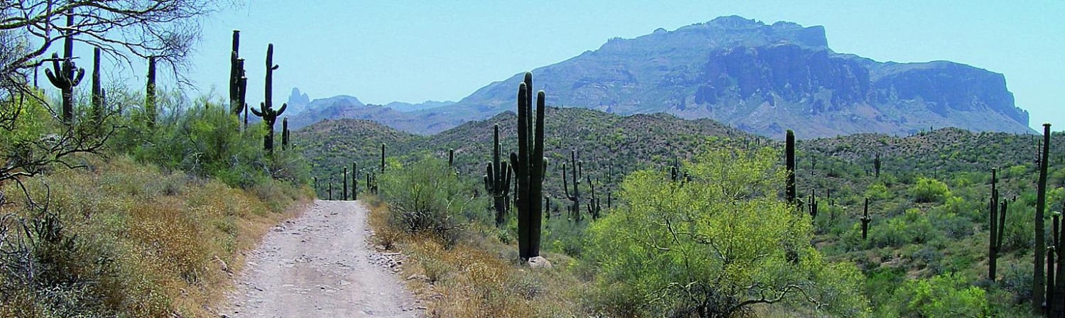 Bulldog Canyon, Arizona : Off-Road Trail Map & Photos | onX Offroad