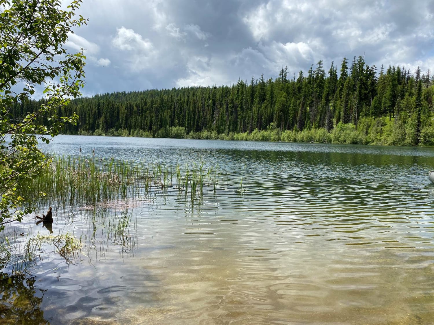 Thompson Ridge Trail, Washington : Off-Road Trail Map & Photos | onX ...