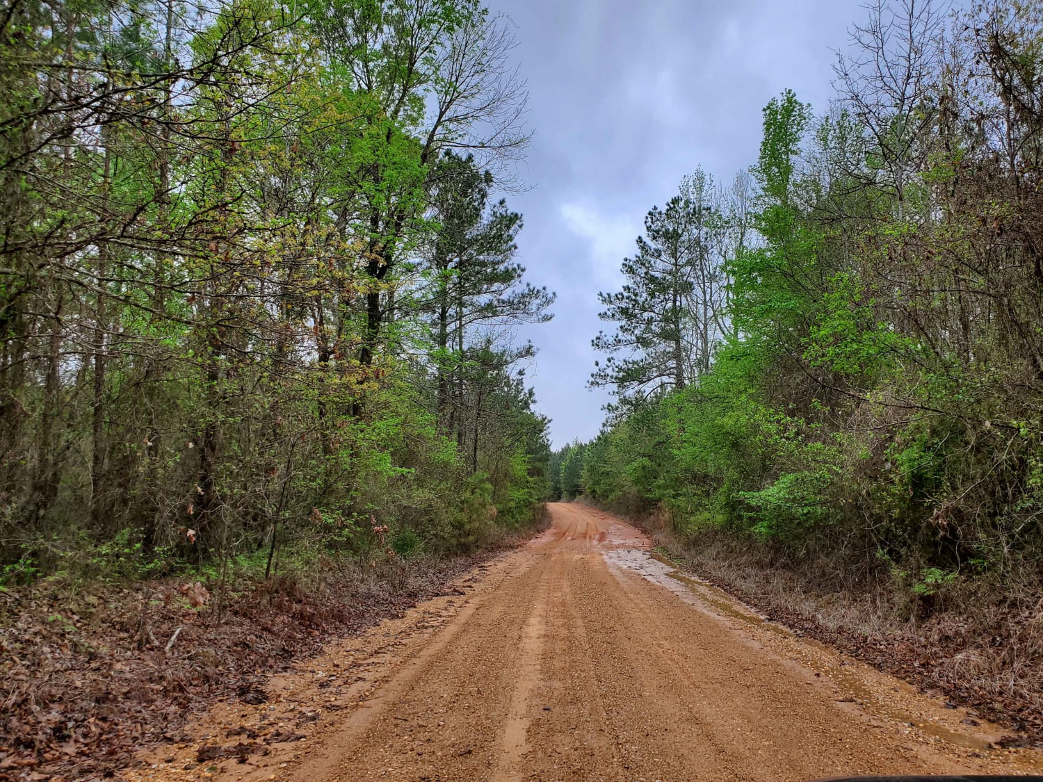 Poison Springs WMA - Campsite C-10 to C-29 and C-54, Arkansas : Off ...