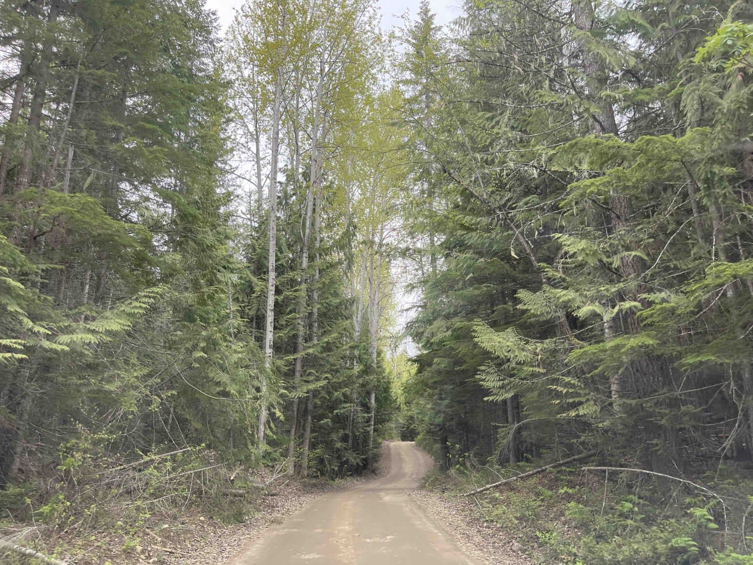 Hidden Lake Road, British Columbia : Off-Road Trail Map & Photos | onX ...