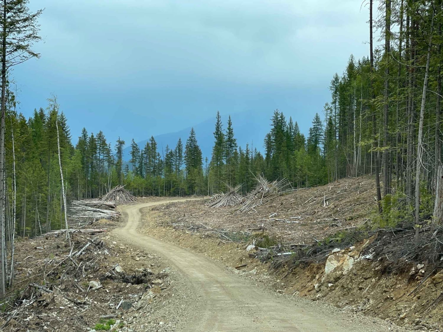 Maks Road, British Columbia : Off-Road Trail Map & Photos | onX Offroad Maks Road, British Columbia : Off-Road Trail Map & Photos | onX Offroad