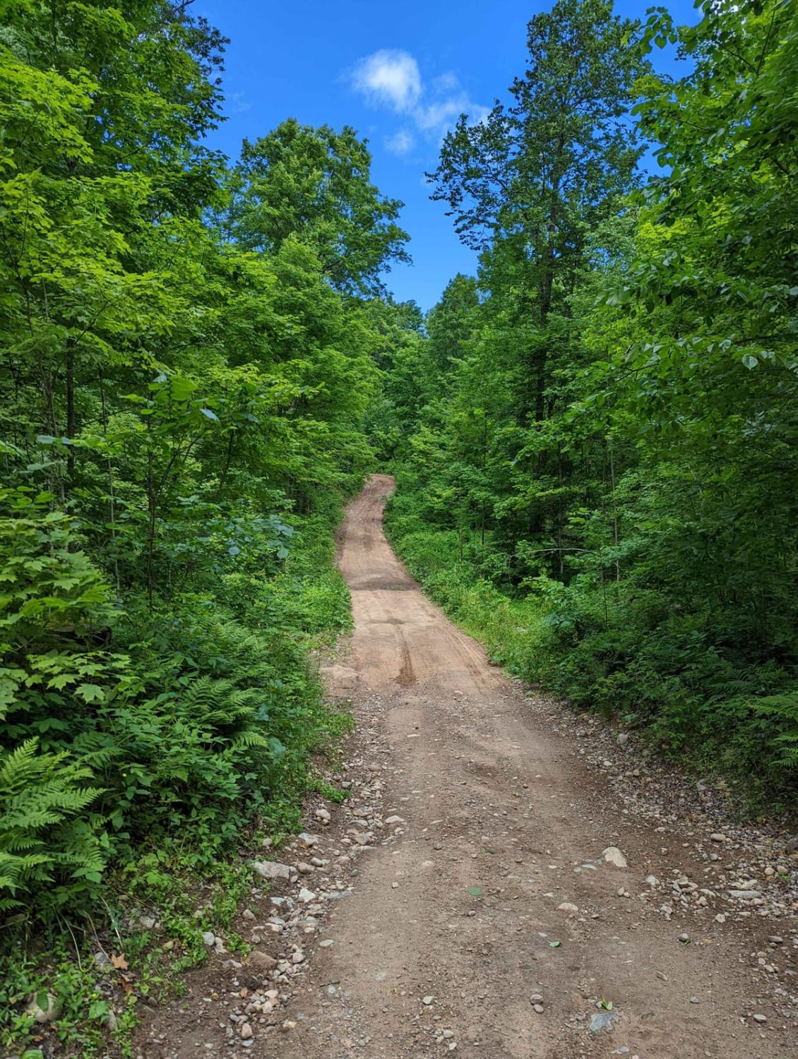 West Elcho/Lily Mill Pass Through, Wisconsin : Off-Road Trail Map ...