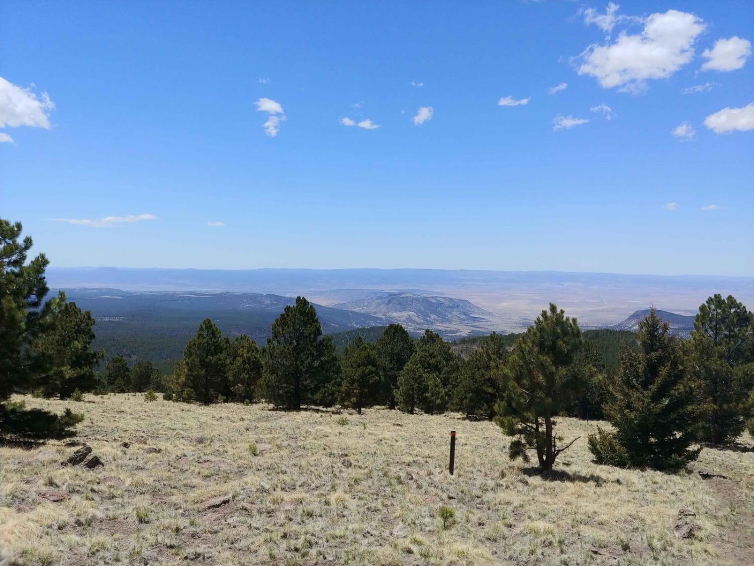 Mt. Taylor Summit, New Mexico : Off-Road Trail Map & Photos | onX Offroad