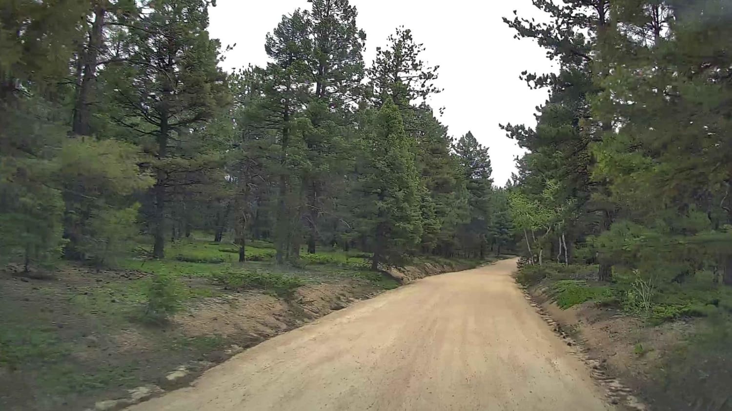 Forest Road 507, Colorado : Off-Road Trail Map & Photos | onX Offroad