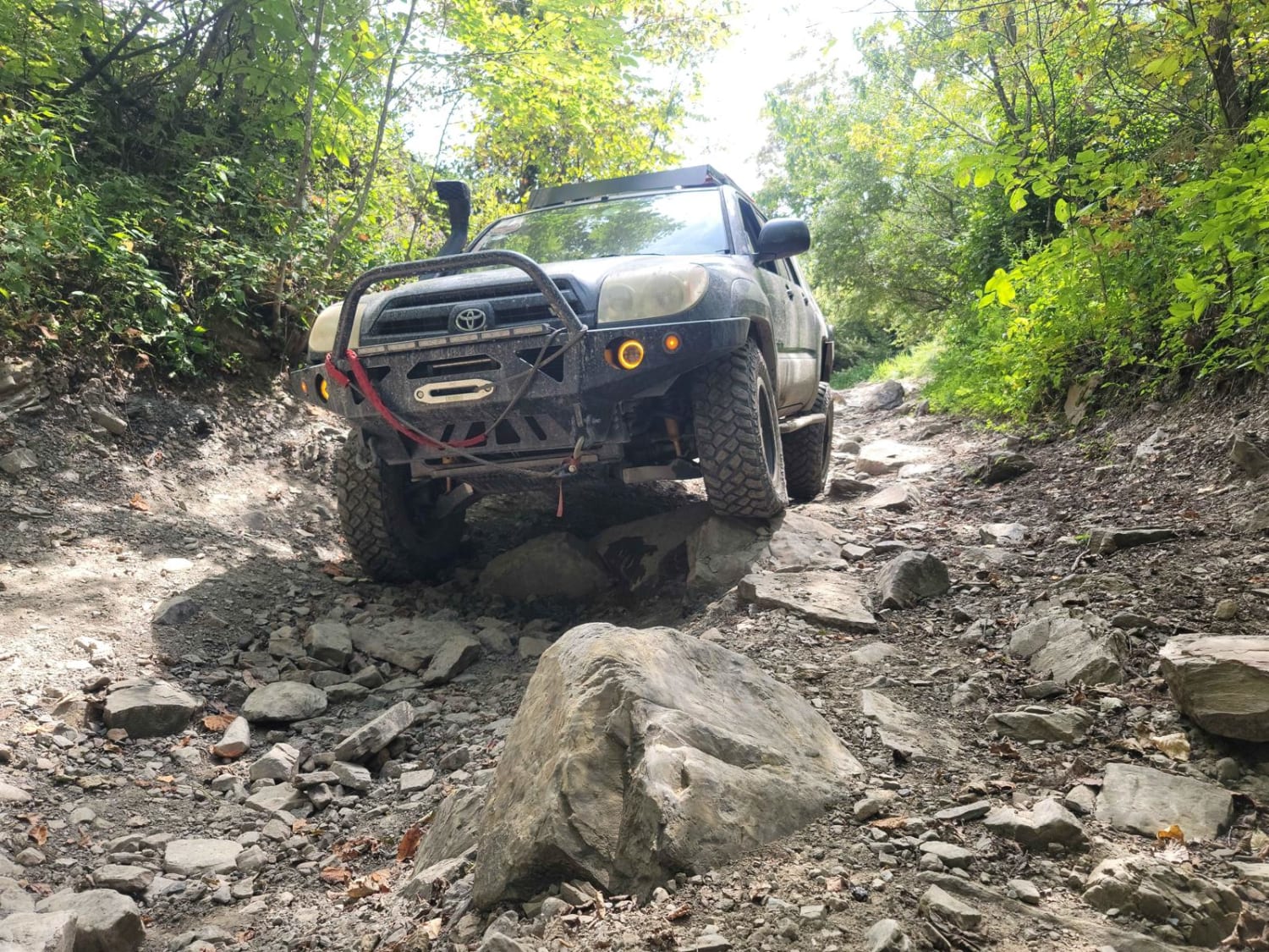 Trail 34 - Sugar Tree Gap, Tennessee : Off-Road Trail Map & Photos ...