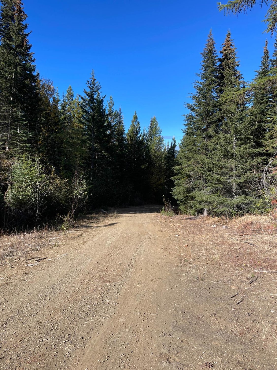 King Edward Parallel , British Columbia : Off-Road Trail Map & Photos ...