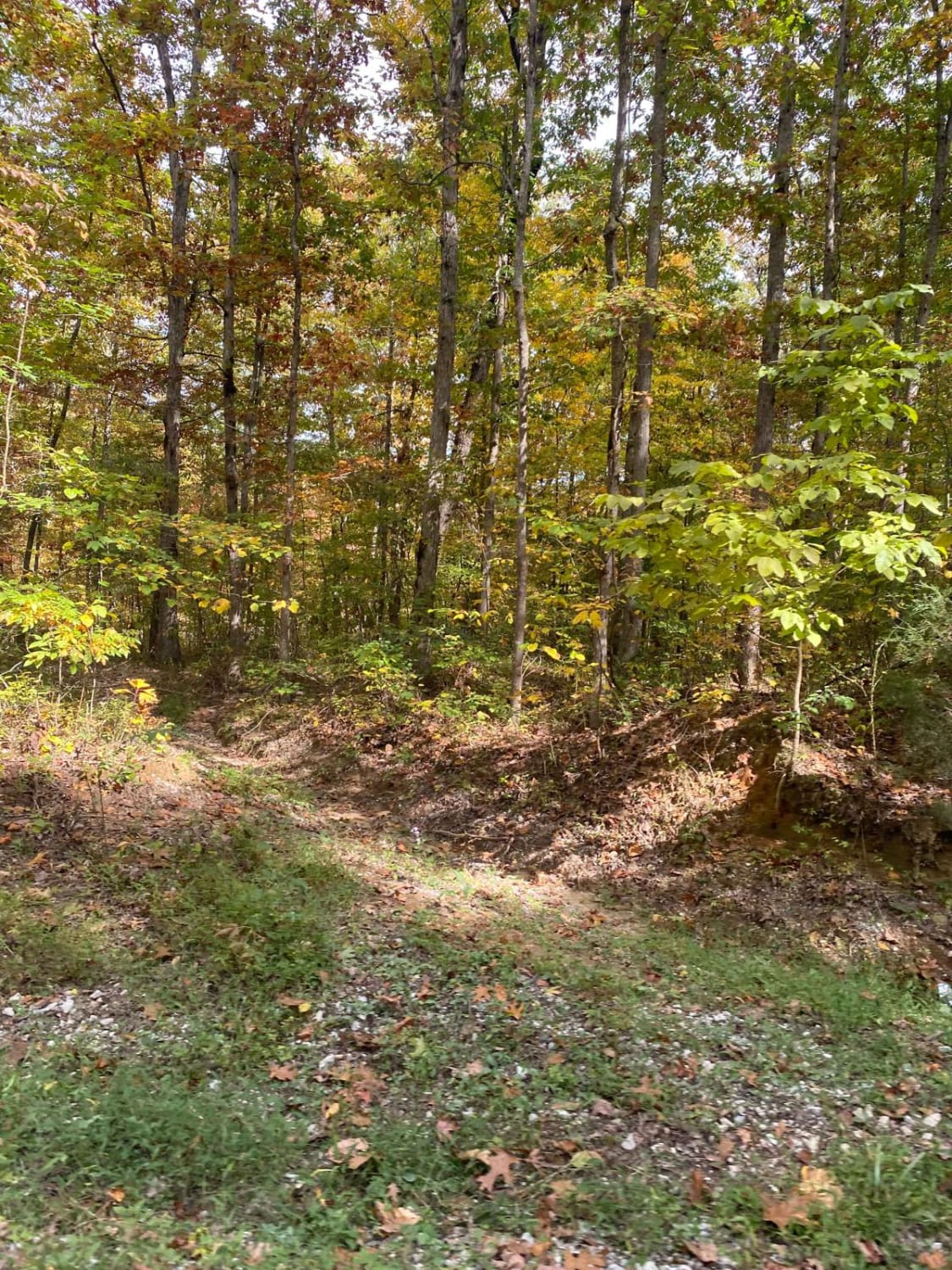 Powerline to Jumpoff Road, Tennessee : Off-Road Trail Map & Photos ...