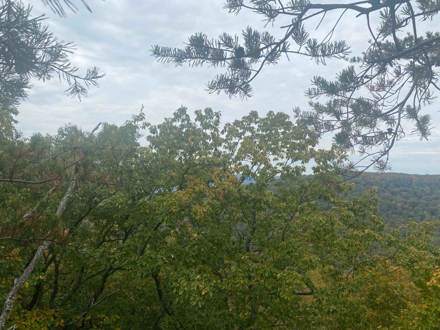 Overlook, Tennessee : Off-Road Trail Map & Photos | onX Offroad