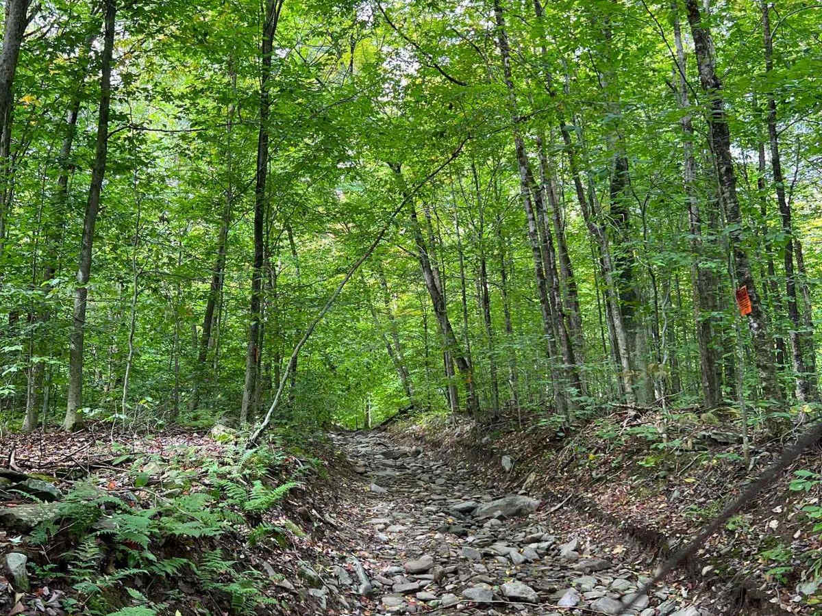 Minkler Mountain Road T668 | Off-Road Trail Maps, Difficulty, Trail ...